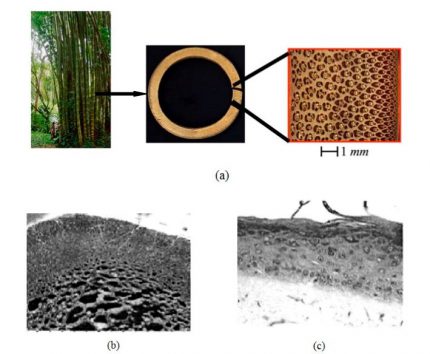 10 Useful Subroutine Example (Part 1) ️ - CAE Assistant