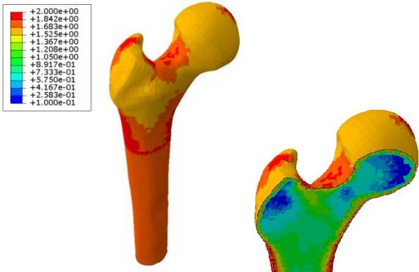 Finite Element Method Complete Guide Basics Applications