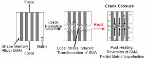 Application Of Shape Memory Alloys | How SMAs Work