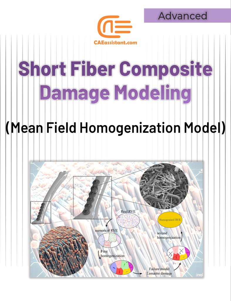 Mean Field Homogenization | Short Fiber Composite Damage